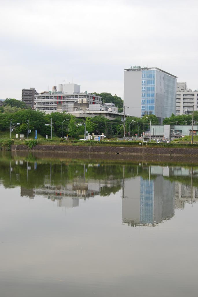 DSC 0061